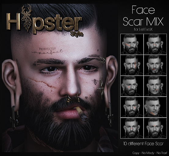 Second Life Marketplace - [Hipster Style] Face Scar MIX for Lel EvoX